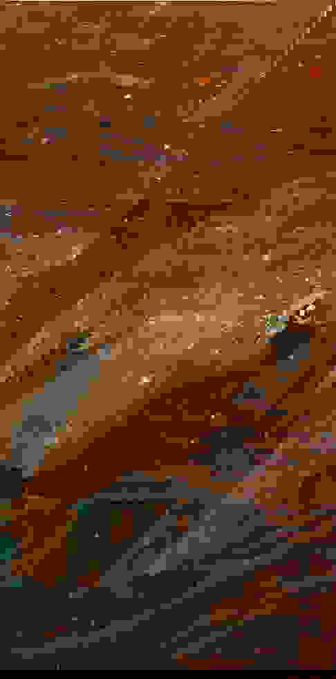 A Chinese Eagle Painting, Zhao Ji Mark Auction