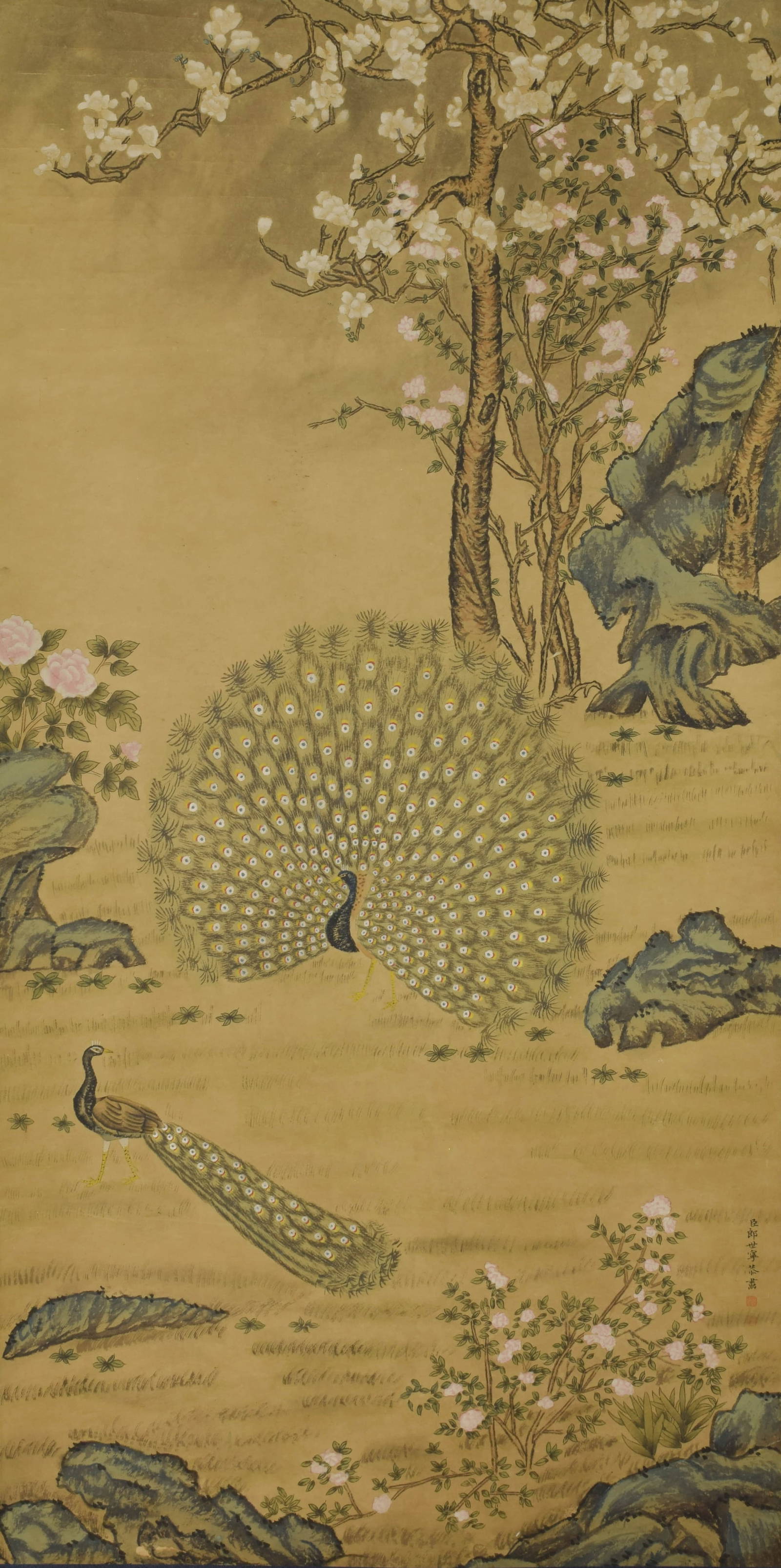 Peacock, Ink And Color On Paper, Hanging Scroll, Lang Shi’ning Auction
