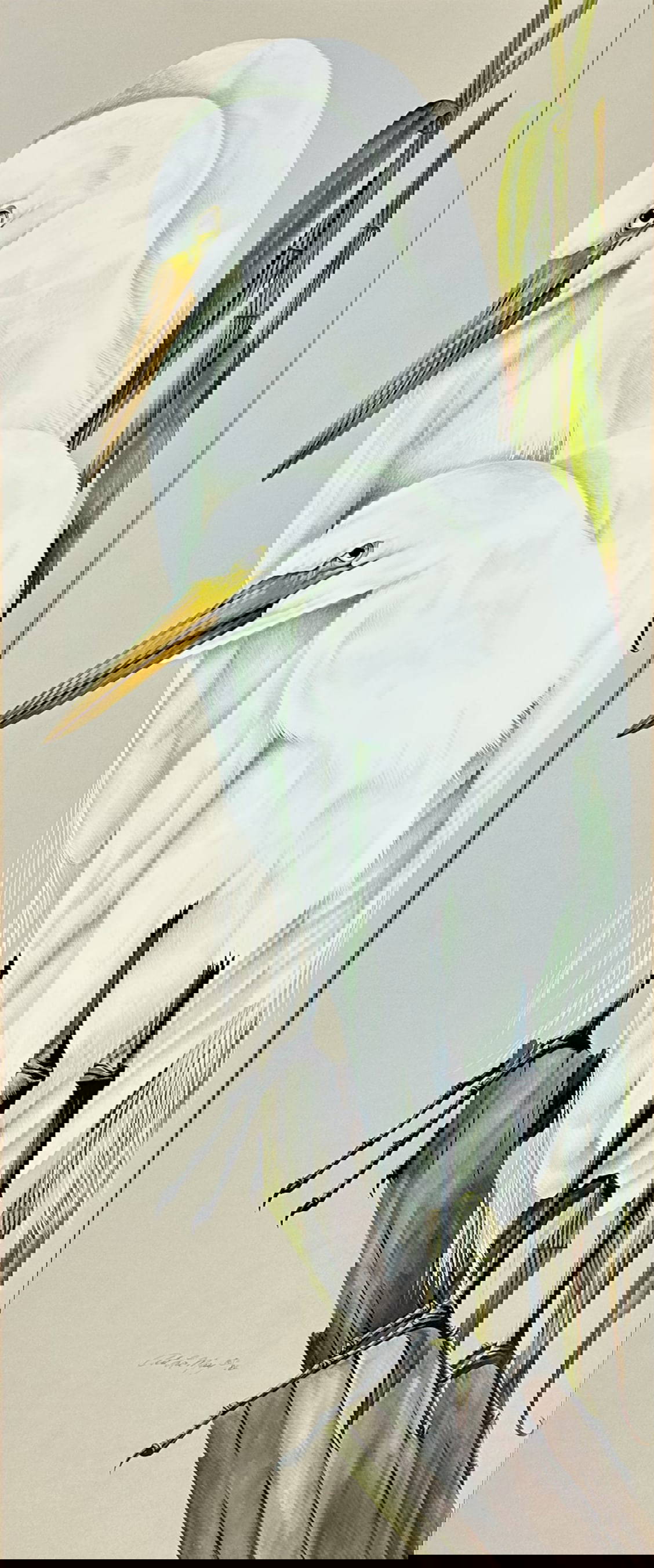 Large Art Lamay "american Egret Pair" 1986 Gouache Framed Painting Auction