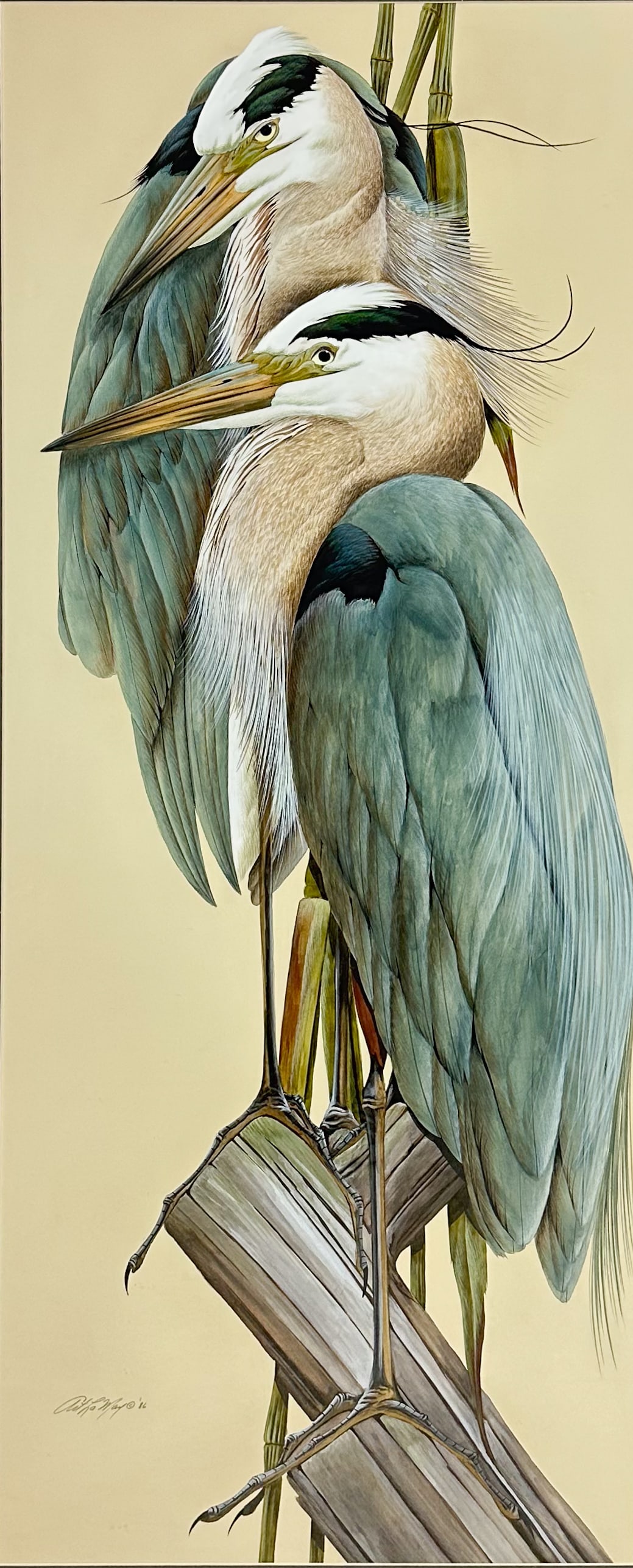 Large Art Lamay "great Blue Heron Pair" 1986 Gouache Framed Painting