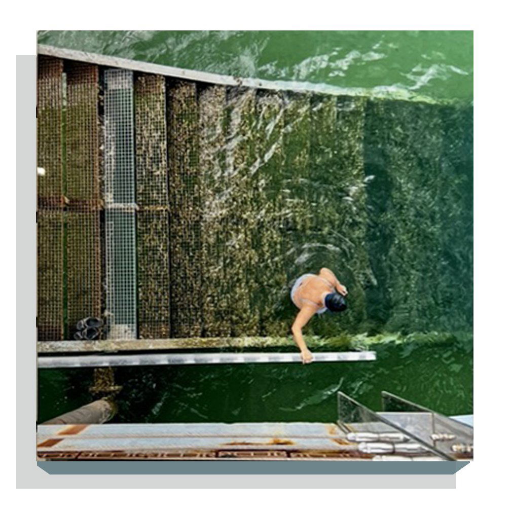 Hunter Stephens/ A Lady Determined - Feb 26, 2023 | Wilton Art, Inc. in FL