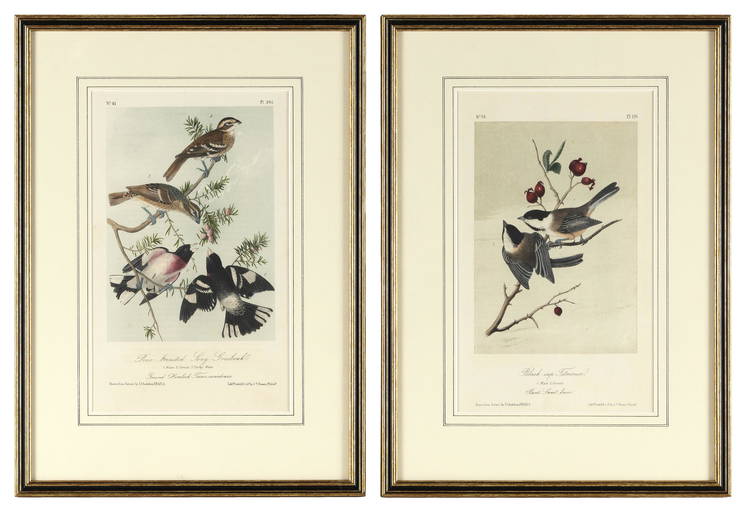 AFTER JOHN JAMES LAFOREST AUDUBON (New York/France, 1785-1851), Two ...