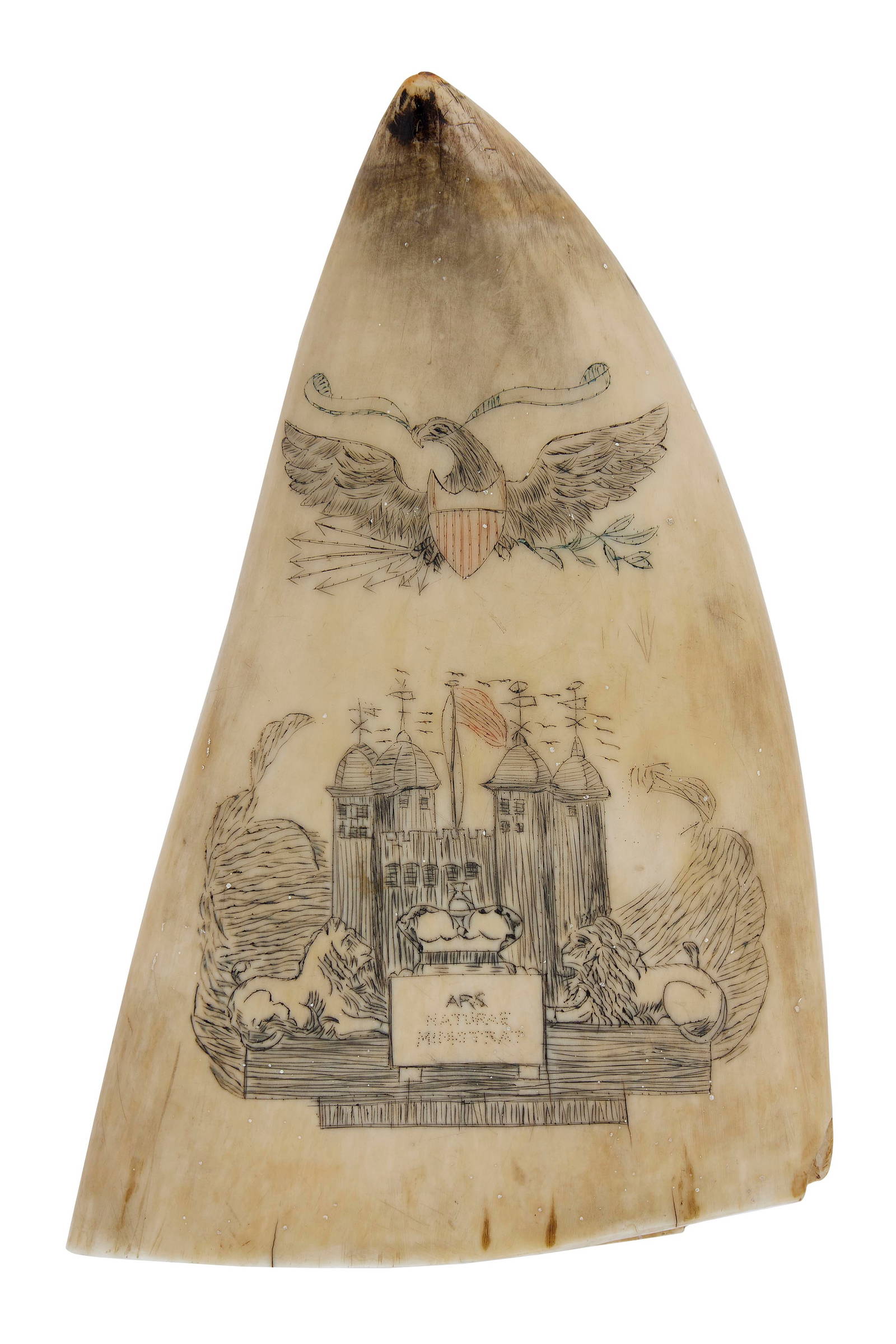Polychrome Scrimshaw Whale's Tooth With Interesting Anglo-american ...