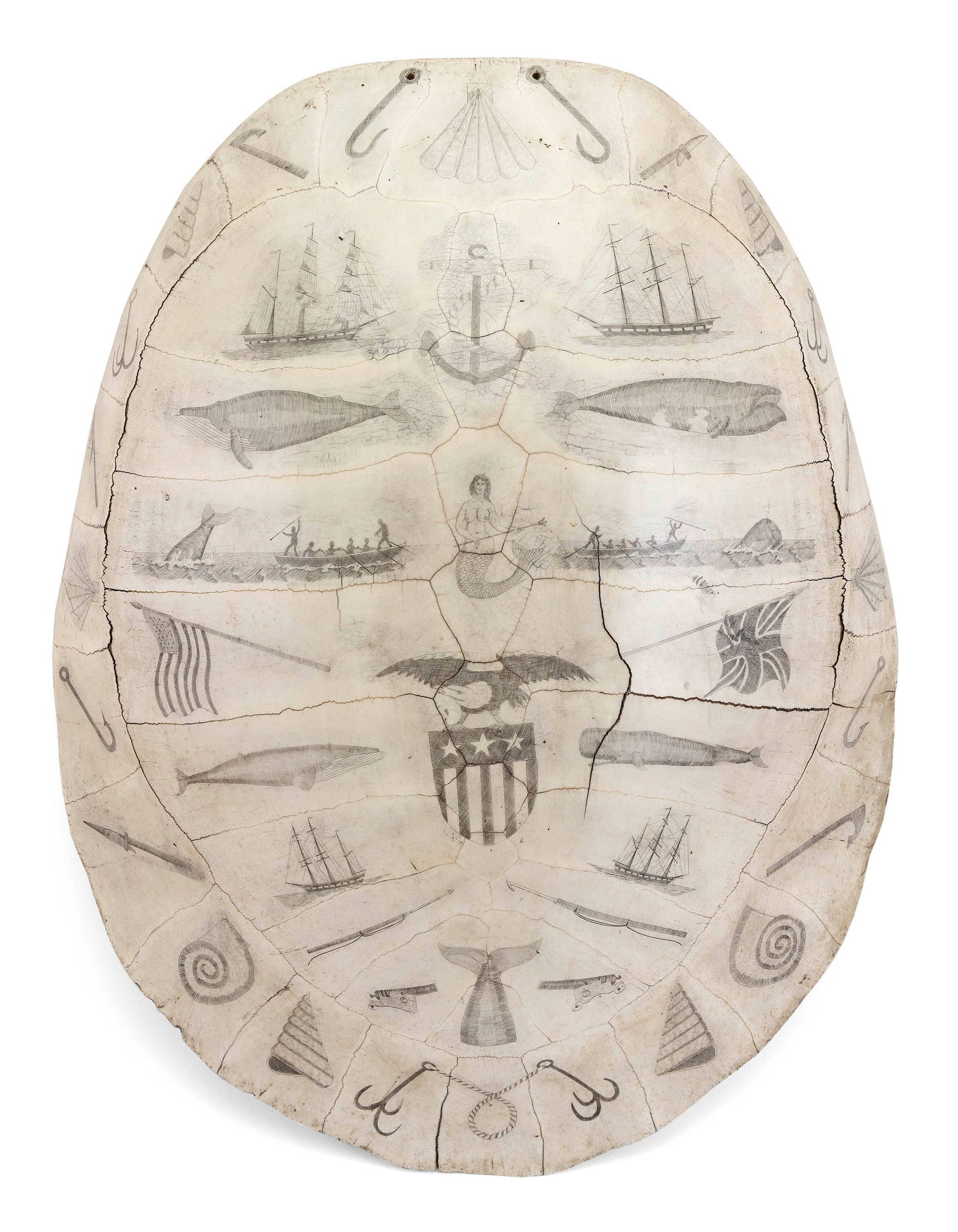 Scrimshaw Bleached Turtle Shell Late 19th Century Approx. 25.5" X 21 ...