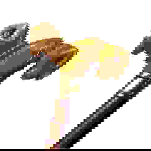 Unusual Clenched Fist Cane 19th/early 20th Century Length 35". Auction