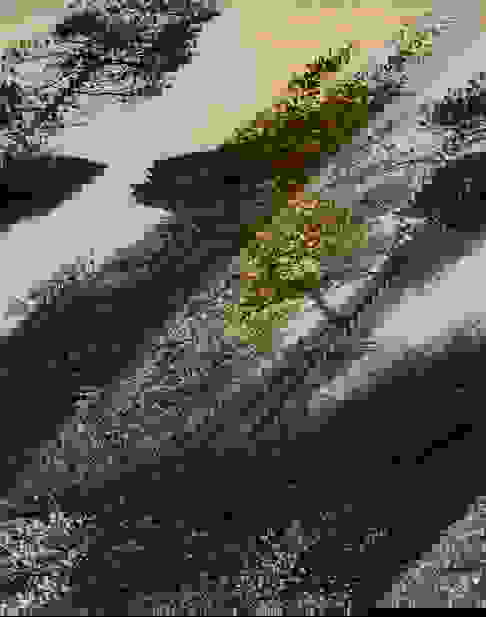 Henry Hamilton Bennett (american, 1843 - 1908) Auction