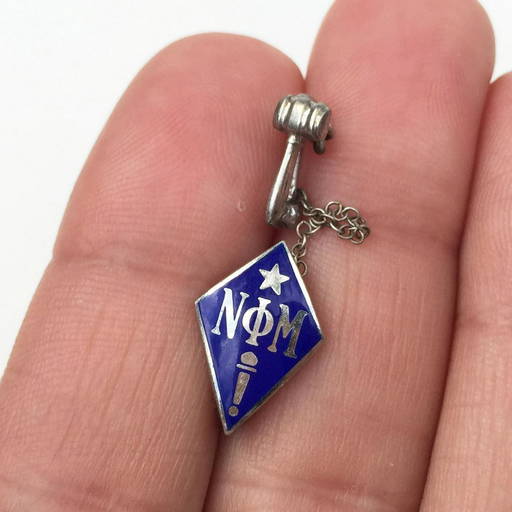 Vintage sterling silver ??? Nu Phi Mu enamel gavel pin (#0064) on Feb ...