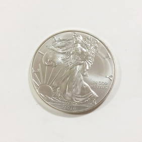1906 One Dollars Liberty Silver Coin