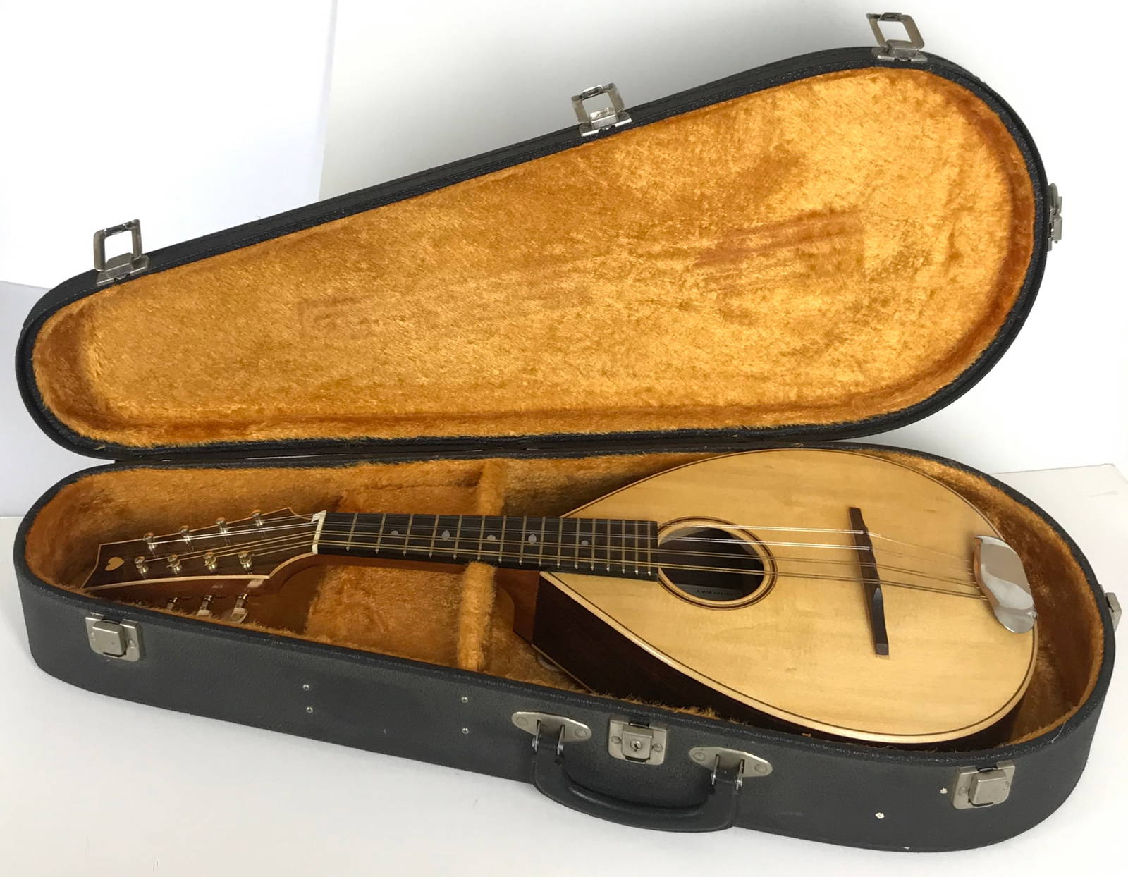 Rolling Stones B Wyman Owned/stage Played Mandolin Auction