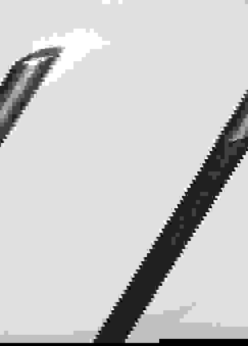 Vintage Riding Crop Auction