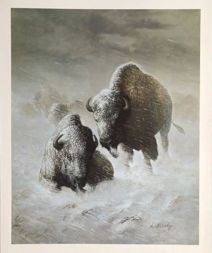 Edward J Bierly "American Bison" Signed Lithograph - Dec 04, 2022 ...