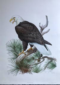 Kaiser Porcelain "American Bald Eagle" - Apr 28, 2019 | J. Garrett ...