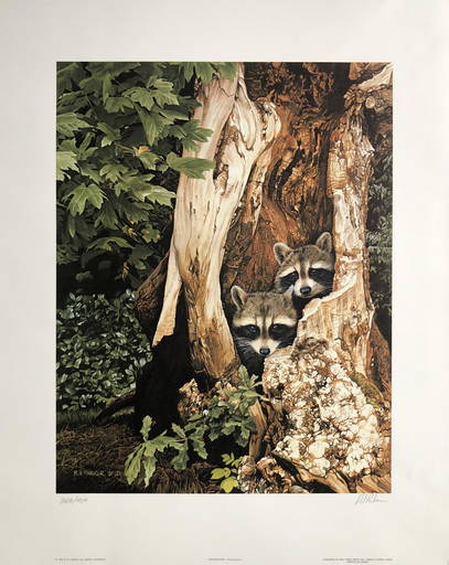 Ron Parker "raccoon Pair" Signed Lithograph Le