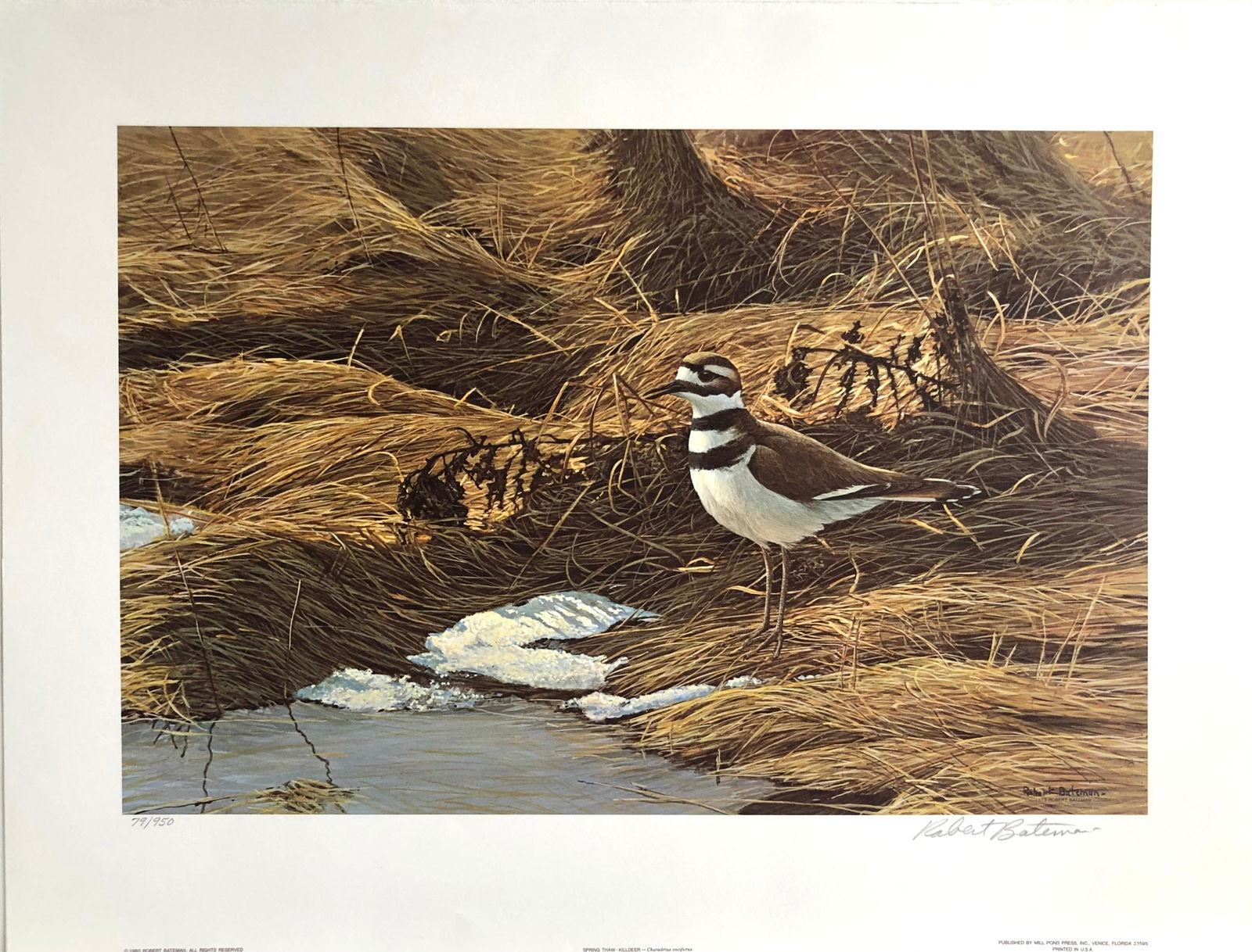 Robert Bateman "spring Thaw - Killdeer" Signed Litho Le Auction
