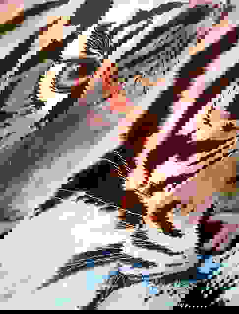 Michael David Ward "eye Of The Tiger" Signed Lithograph Le Auction