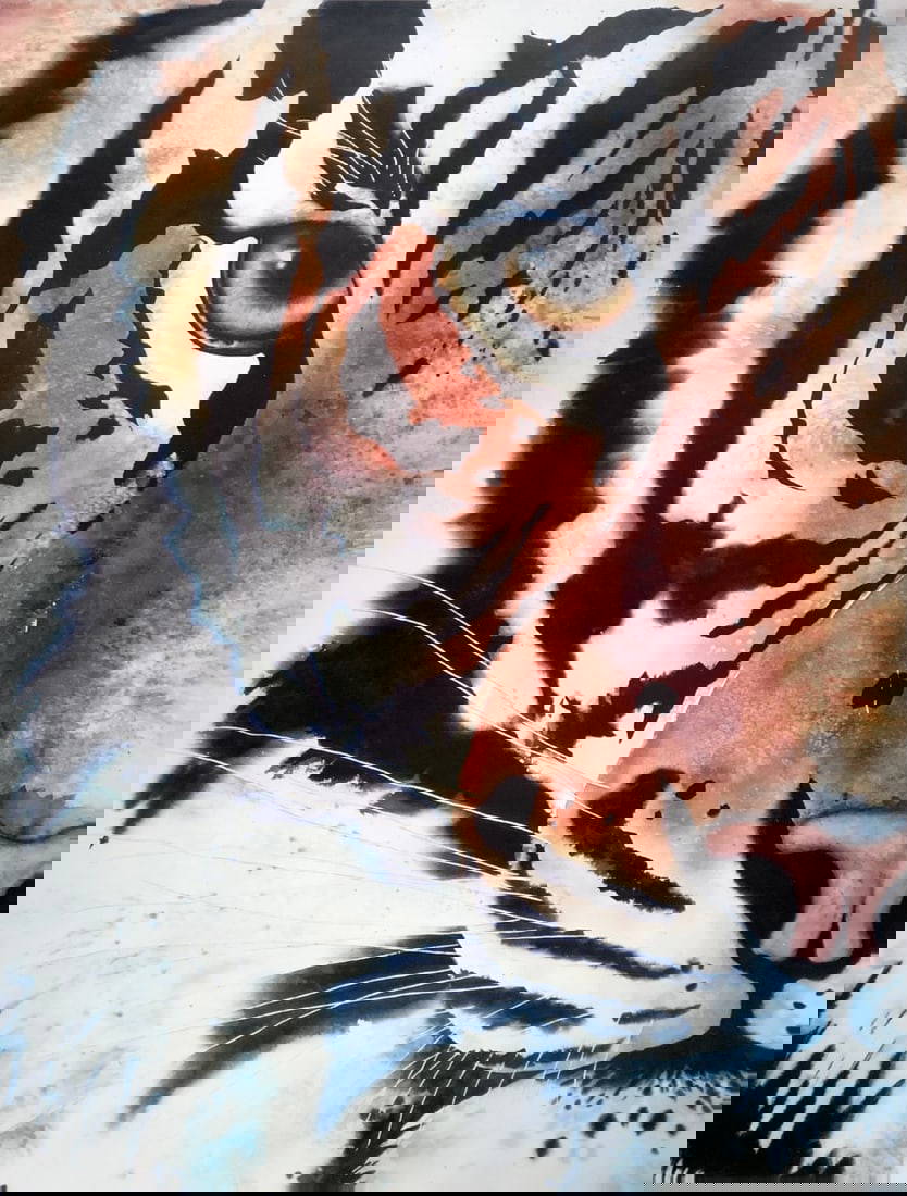 Michael David Ward "eye Of The Tiger" Signed Lithograph Le Auction