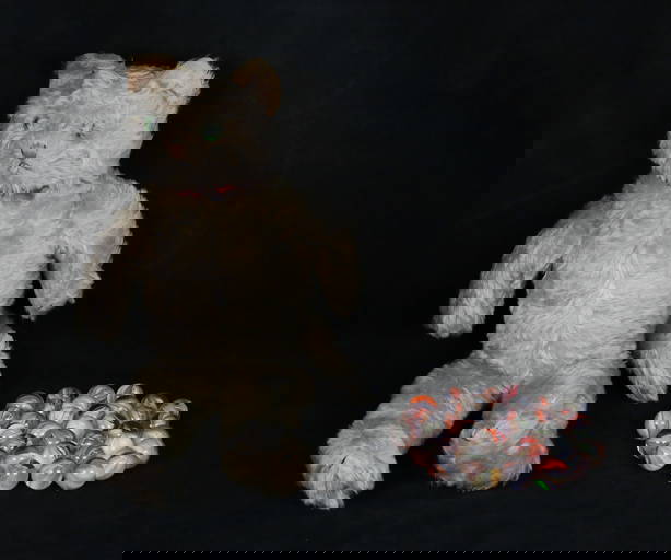 Vintage Toys Mohair Cat & Marbles