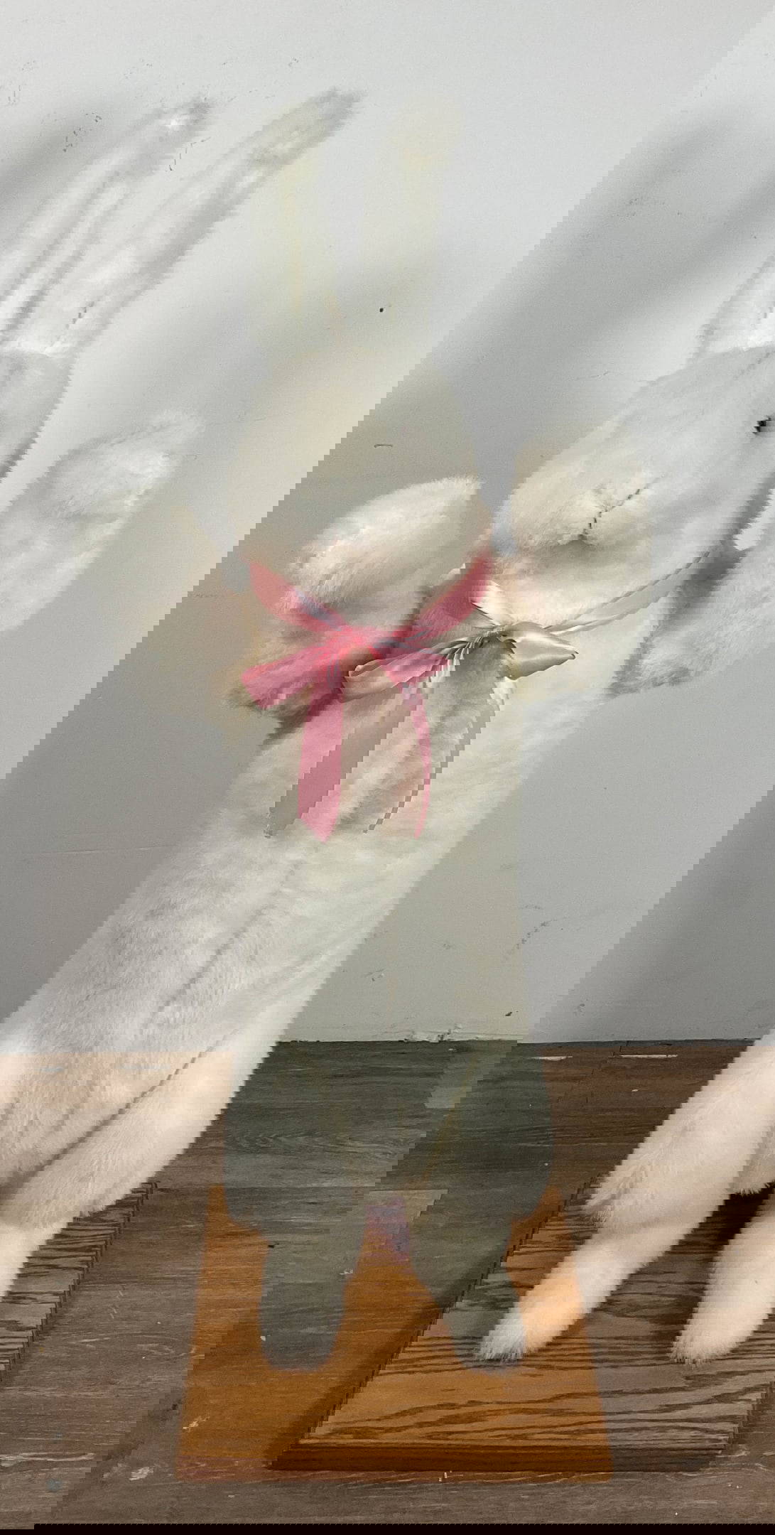 The Hen House Large Plush Rabbit On Stand 50" Auction