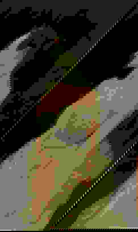 Etching Portrait Of Madame By Gustave Courtois (1853-1923) Auction