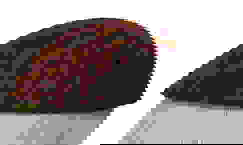 Rare Ww1 French Calotte Skull Cap. A Very Early Form Of Head Protection ...