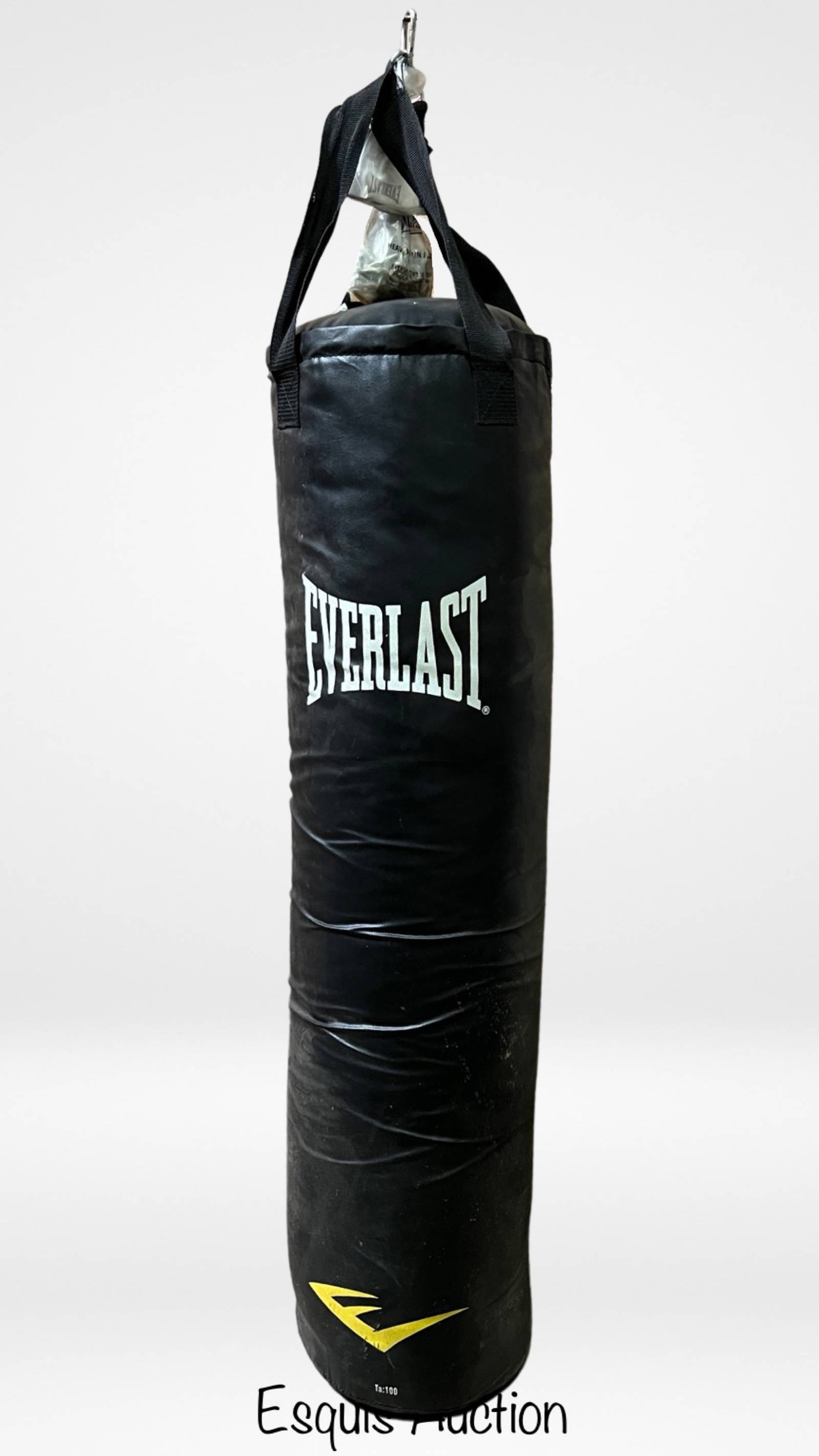 Everlast Nevatear 100 Lbs Boxing Heavy Bag Auction