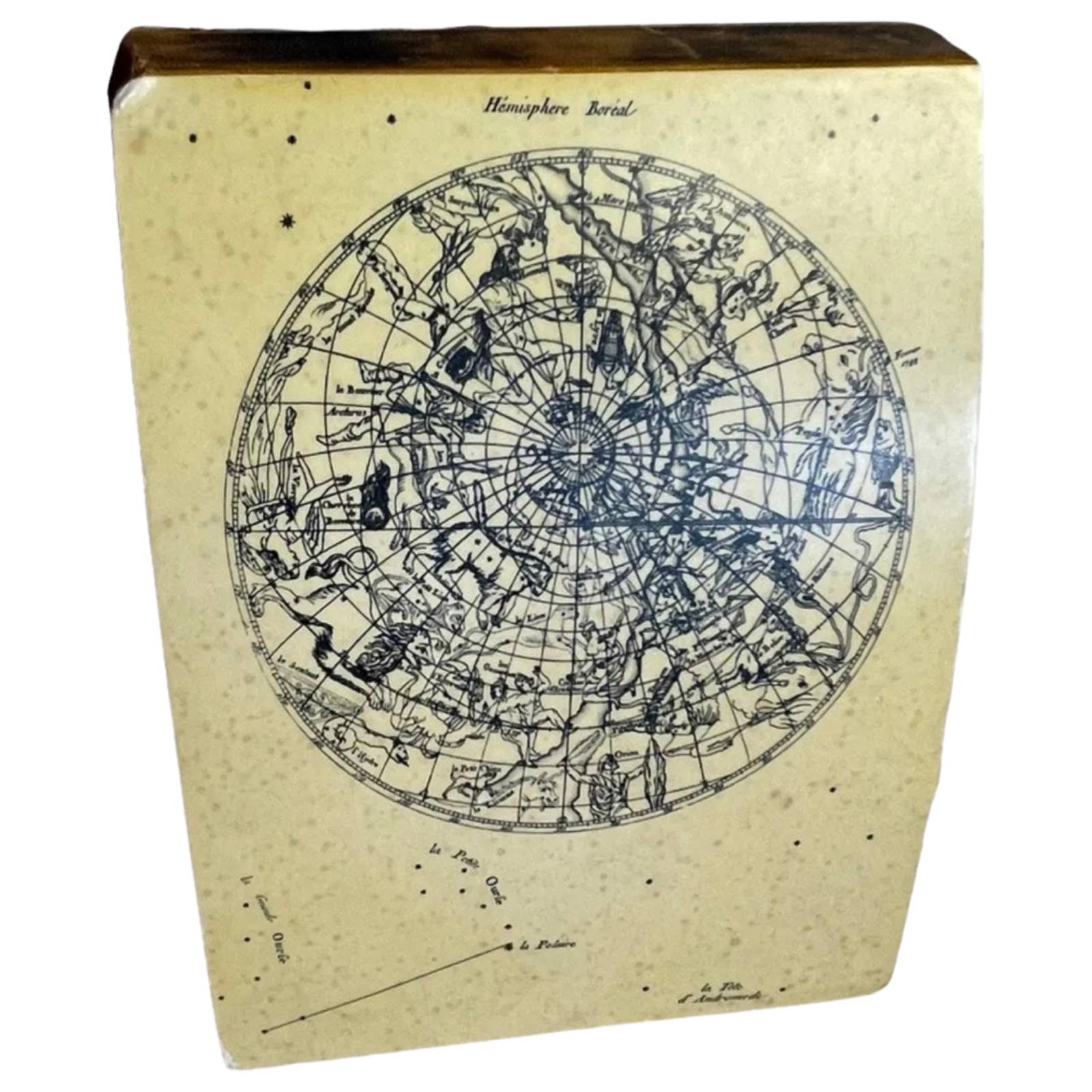 Astrology Chart Bookend Leather Marshall Field Auction