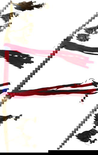 Native American Shaman Medicine Rattle Pronghorn