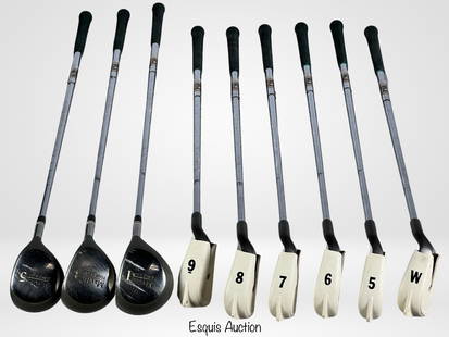 Maxfli Tour True Temper Gold Plus Iron Golf Clubs