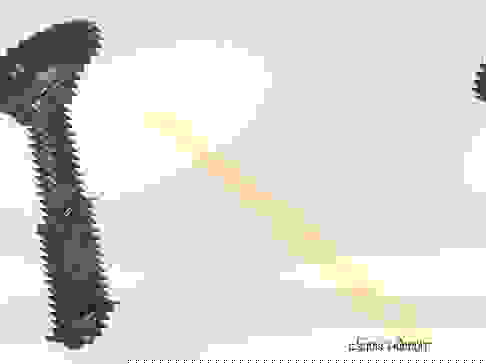 Vintage Church Priest Holy Water Sprinkler Aspergi Auction