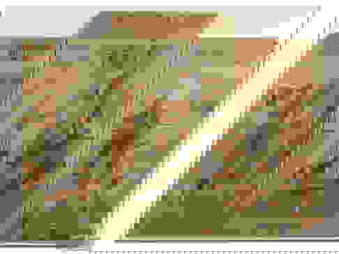 Hercules Powders "not This Trip, Old Pal" Cardboard Tri-fold Countertop ...