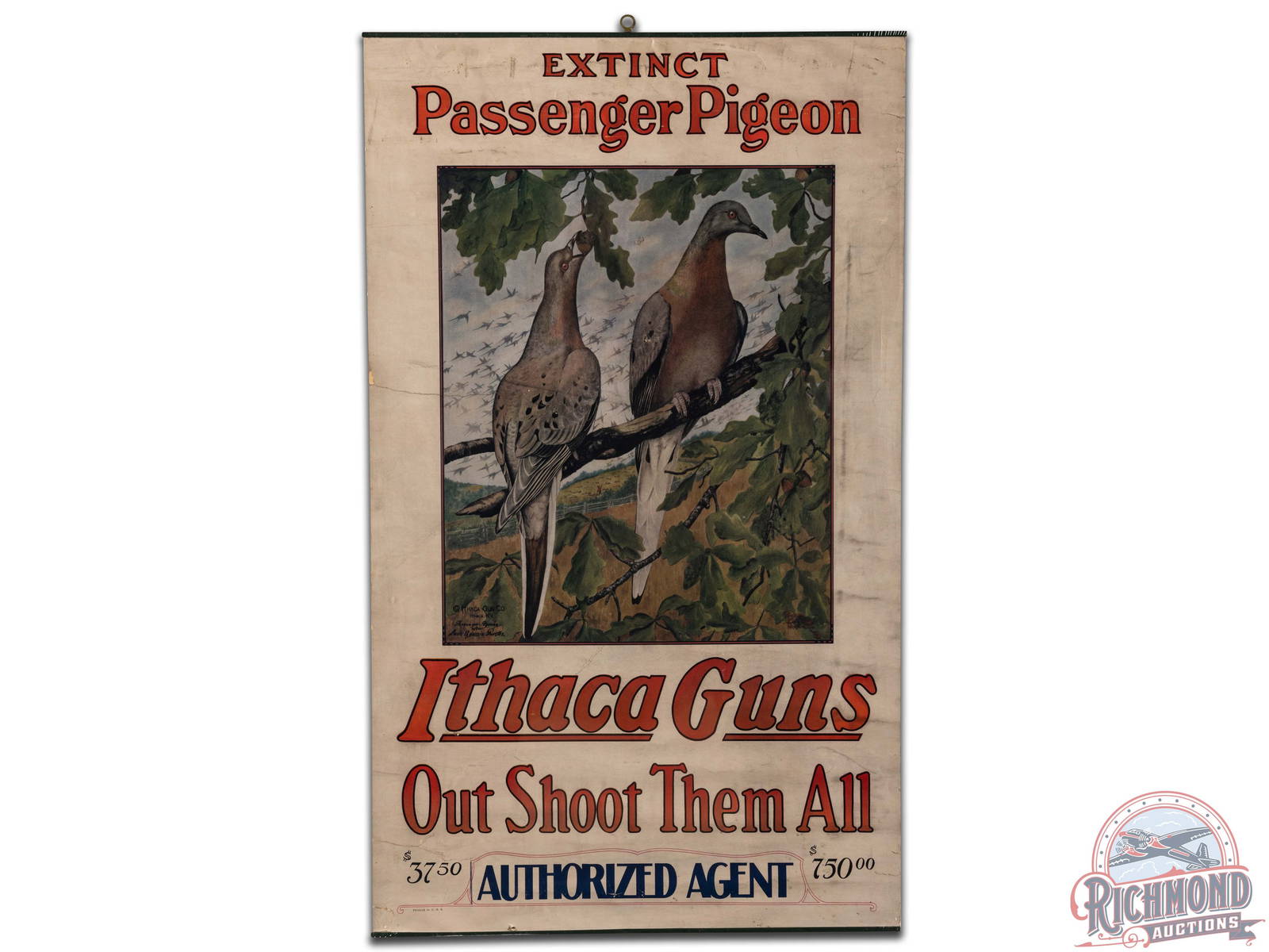 Rare Ithaca Guns "extinct Passenger Pigeon" Authorized Agent Paper ...
