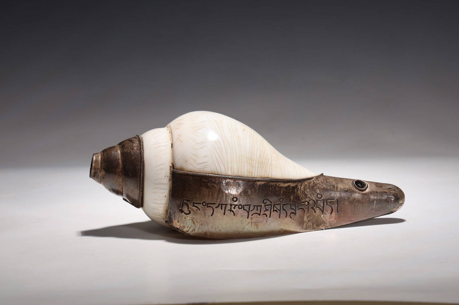 Large Tibet Conch Shell Trumpet Auction