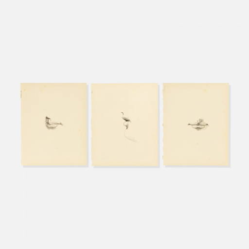 19th Century, Lip Studies