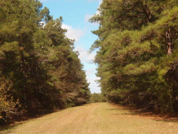 Eastern Texas Area, Treed Lot,utilities, Near
