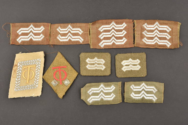 Insignes De L Organisation Todt. Organisation Todt Insignia.