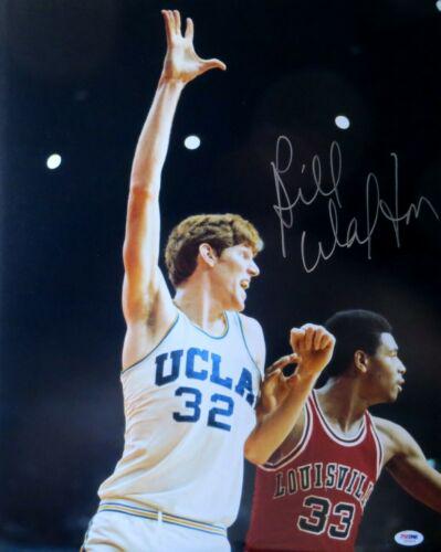 Bill Walton Signed Autographed 16x20 Photo Ucla Bruins