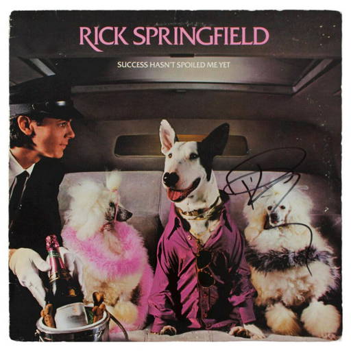Rick Springfield Signed Success Hasn't Spoiled Me Yet Album Cover Bas # ...