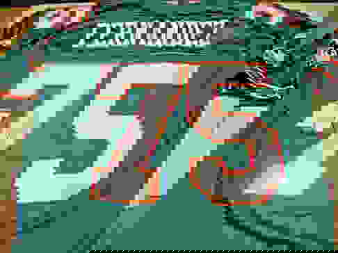 Manny Fernandez Miami Dolphins Jsa/coa Signed Official Licensed ...