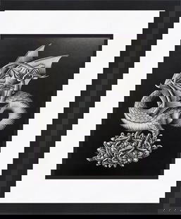 M.C. Escher Prices - 2,144 Auction Price Results