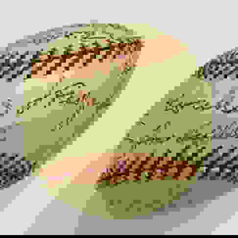 Honus Wagner Sweet Spot 1949 Pittsburgh Pirates Team Signed Baseball ...