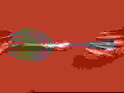 Majestic By Reed And Barton Sterling Vegetable Fork Fluted Pierced 9 1/ ...