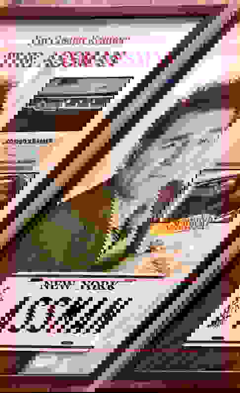 Cosmo Kramer (seinfeld) "the Assman" Metal Replica License Plate Framed ...