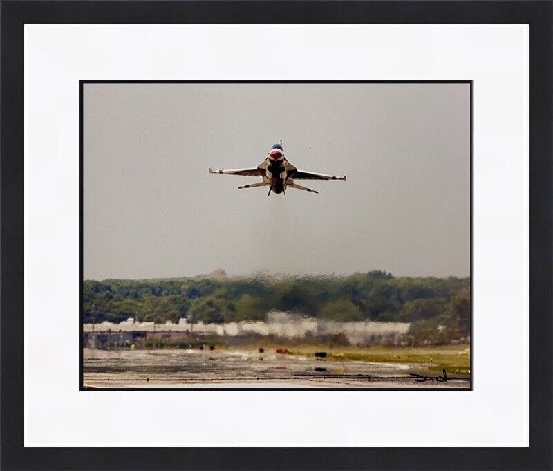 Aero L-39 Albatros Aviation Art Custom Framed Photo Auction