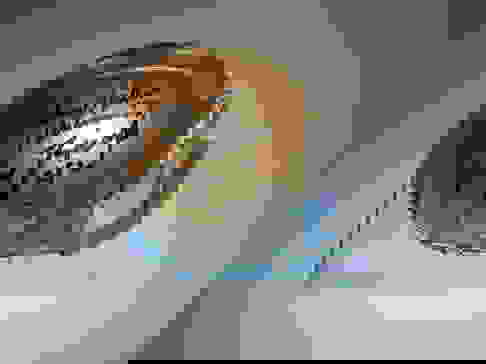 Leon Hart Johnny Lattner Ricky Watters Joe Heap+2 Irish W/coa Signed ...