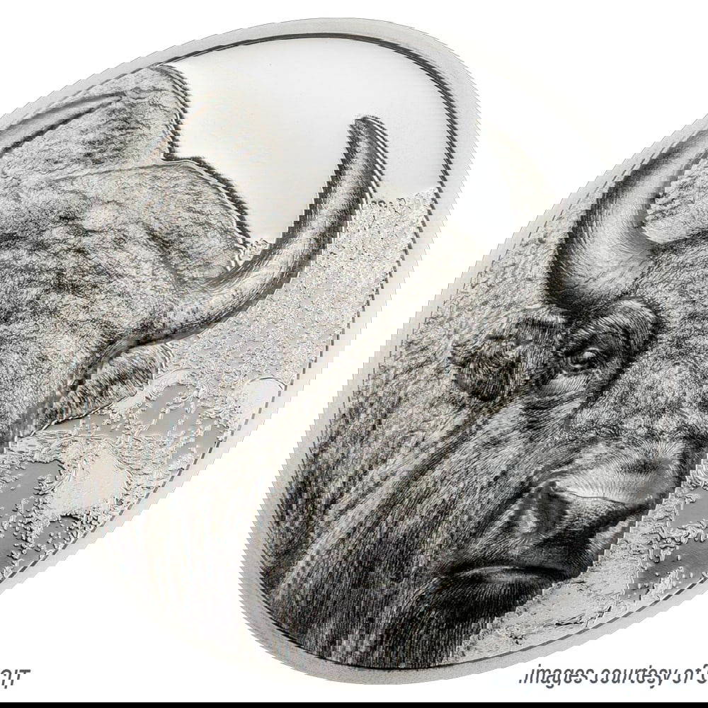 2025 Ultra High Relief Silver Bison 1oz Coin Uncertified Auction