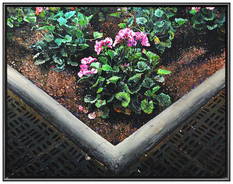 VADA SMITH FLORAL OIL ON CANVAS PAINTING - May 09, 2020 | Lewis & Maese ...