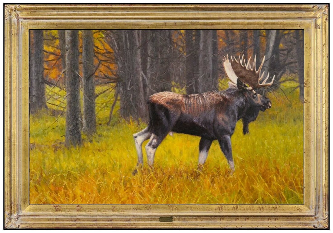 Kyle Sims Large Original Oil Painting On Canvas Moose Wildlife Signed ...