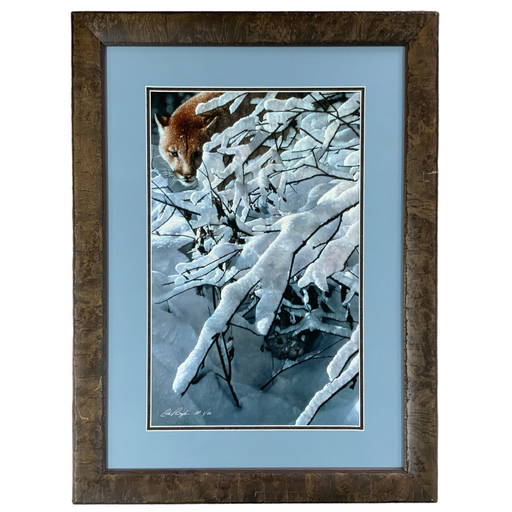 Collin Bogle (b 1973), Cougar/bobcat, Giclee, Artist Proof