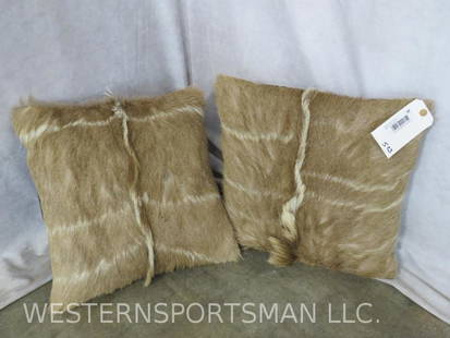 Pair Of Beaver Hide Pillows (one$) Taxidermy