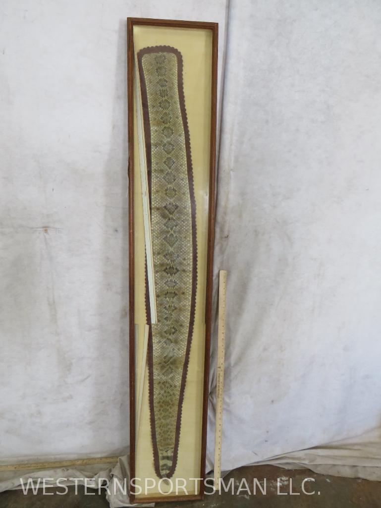 Mounted and Framed Snake Skin TAXIDERMY - Oct 01, 2022 | Western ...